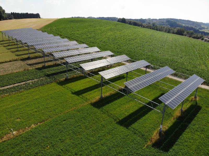Più efficienza e raccolti migliori con l’agro-fotovoltaico | QualEnergia.it