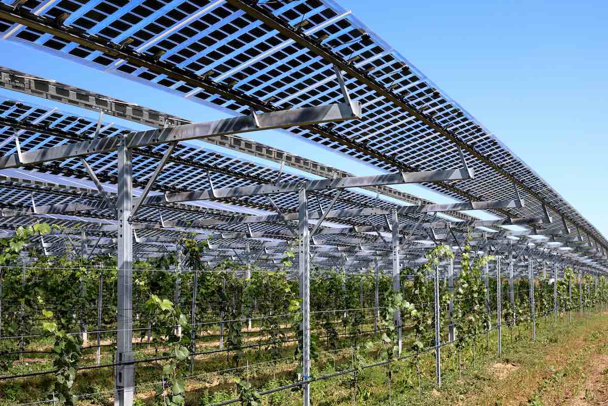Agrivoltaico, quali contratti per realizzare gli impianti e coltivare i ...