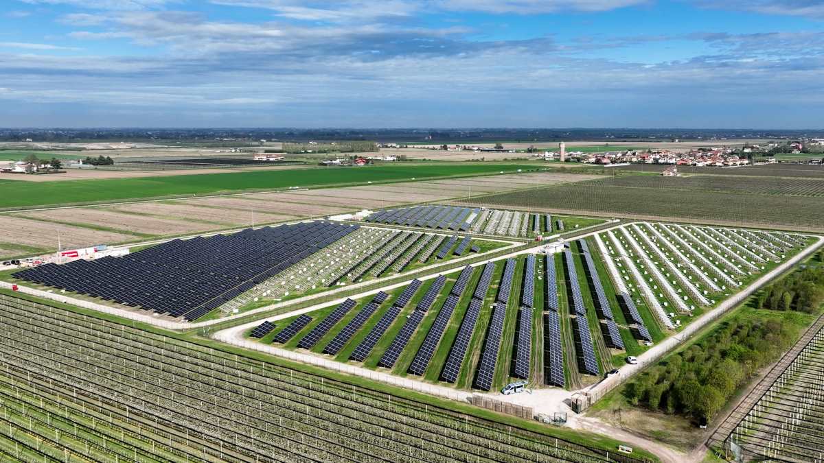 Revamping fotovoltaico: con i moduli bifacciali LONGi raddoppiata la ...