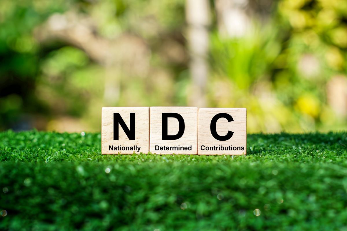 Ndc 2025: più obiettivi economy-wide e attenzione alle Fer